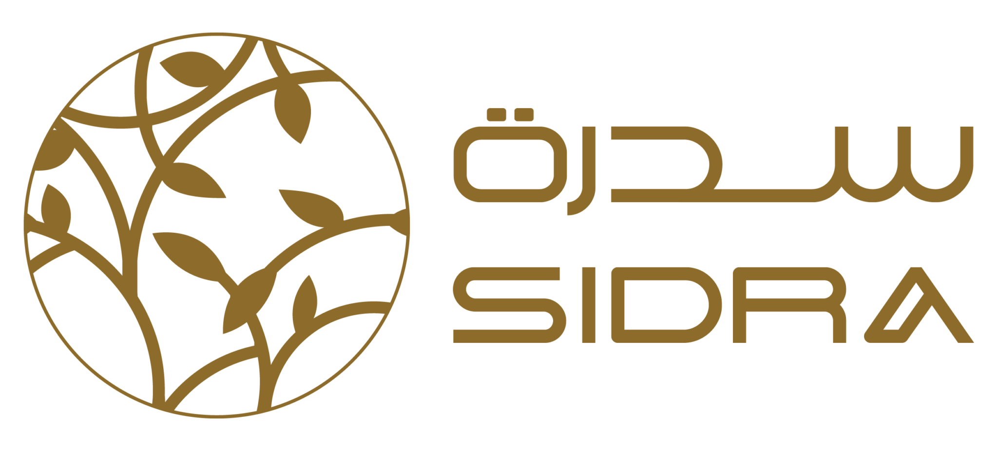 SIDRA | Transforming Visions into Reality, with Precision and Care